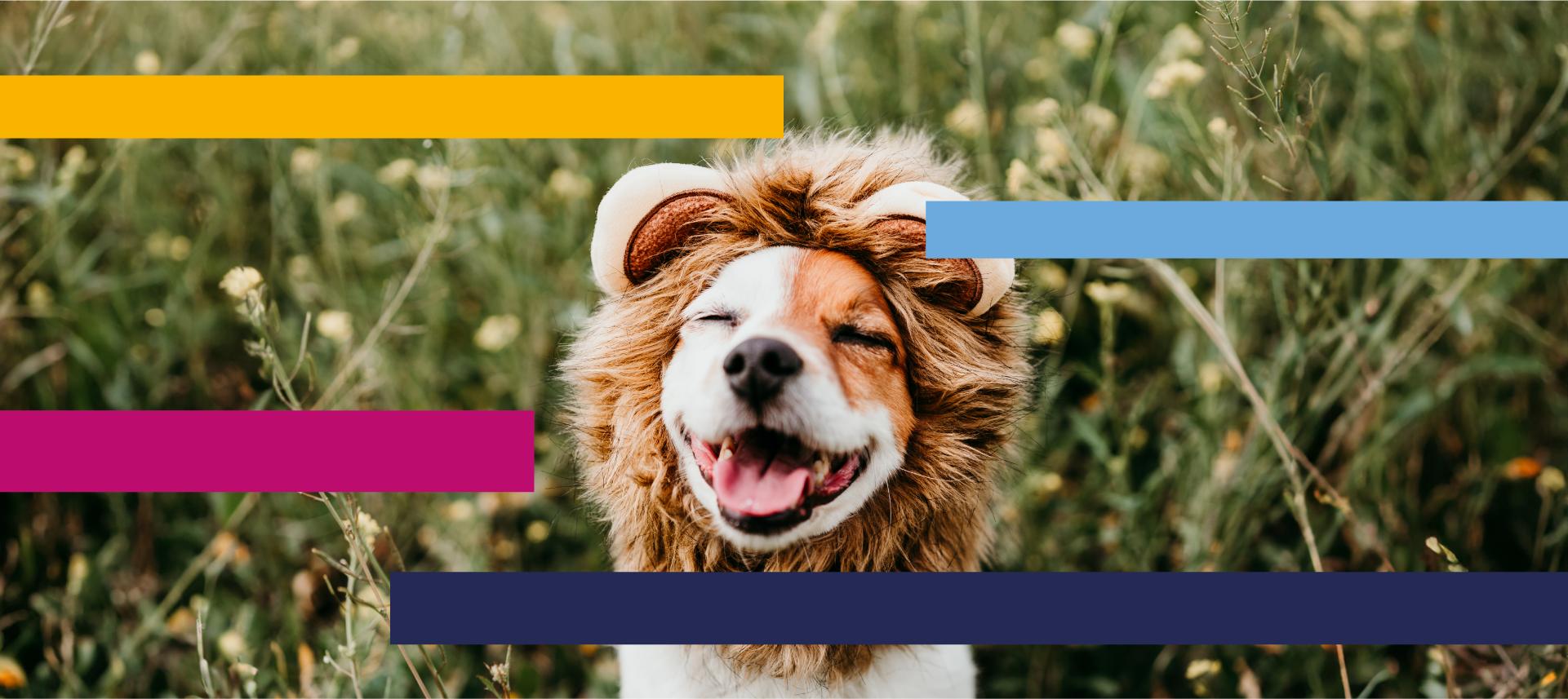 Contacto - Hunter Foods